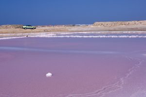 Kapverden: Die Insel Sal auf einer Rundfahrt entdecken - Lu Morgenstern